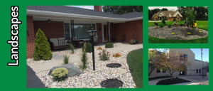 ProscapeS Gallery – Proscape